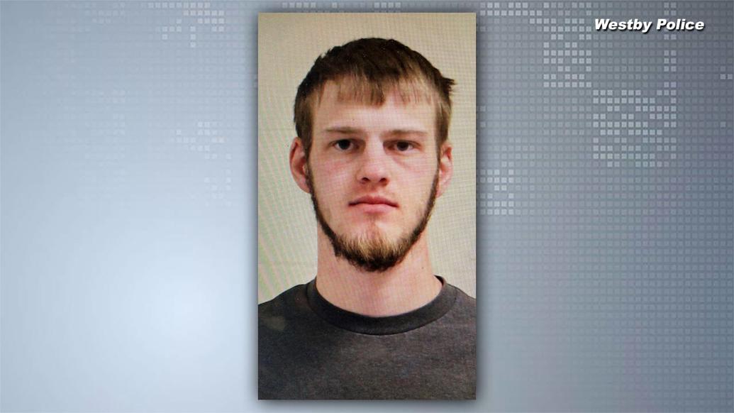 Westby Police arrest second person in hit and run case | Crime and ...