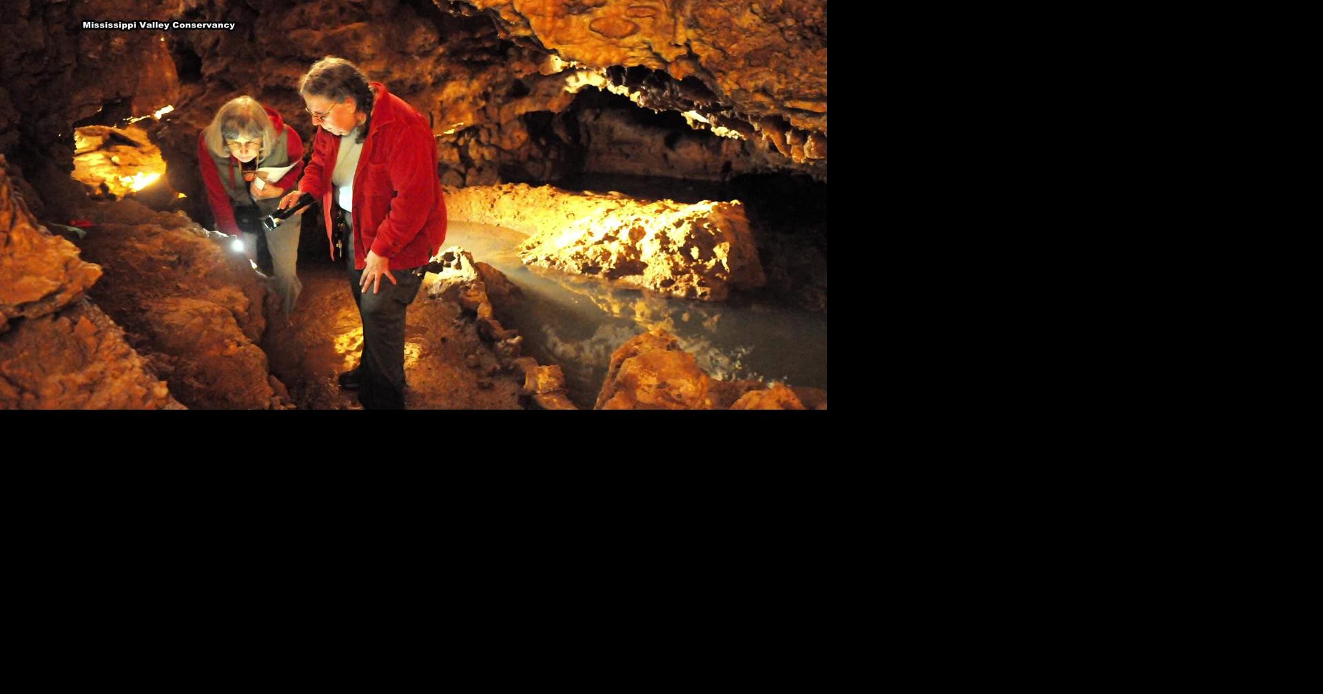Bat ecology cave tours offered at Kickapoo Caverns Nature Preserve ...
