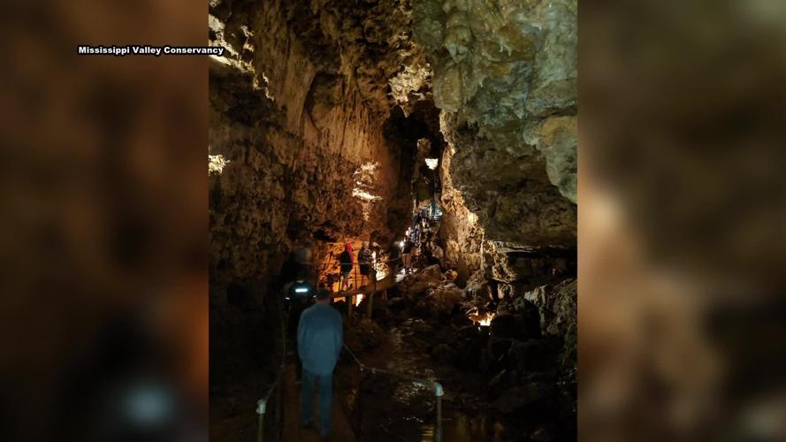 Bat ecology cave tours offered at Kickapoo Caverns Nature Preserve ...