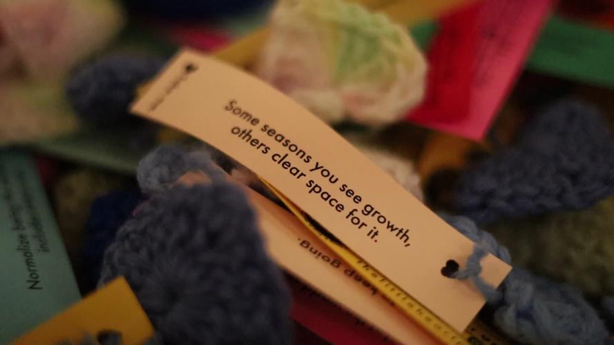 Bringing The Little Heart Project to the state level and beyond | News ...