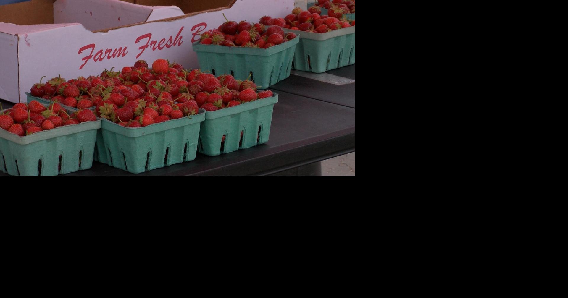 Stanley Farms shares strawberry season with the community | News | wxow.com