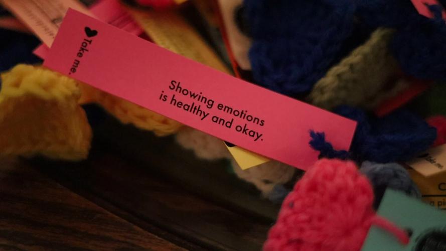 Bringing The Little Heart Project to the state level and beyond | News ...