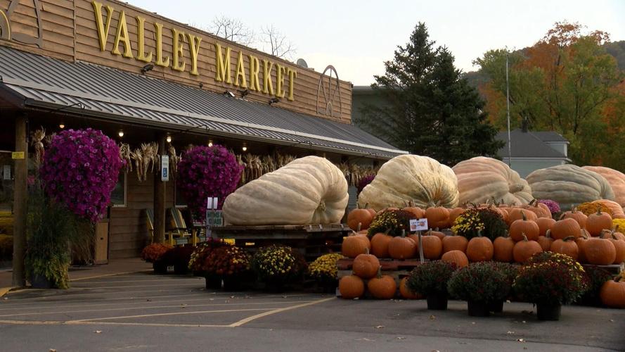 Giant Pumpkins on display in Coon Valley | News | wxow.com