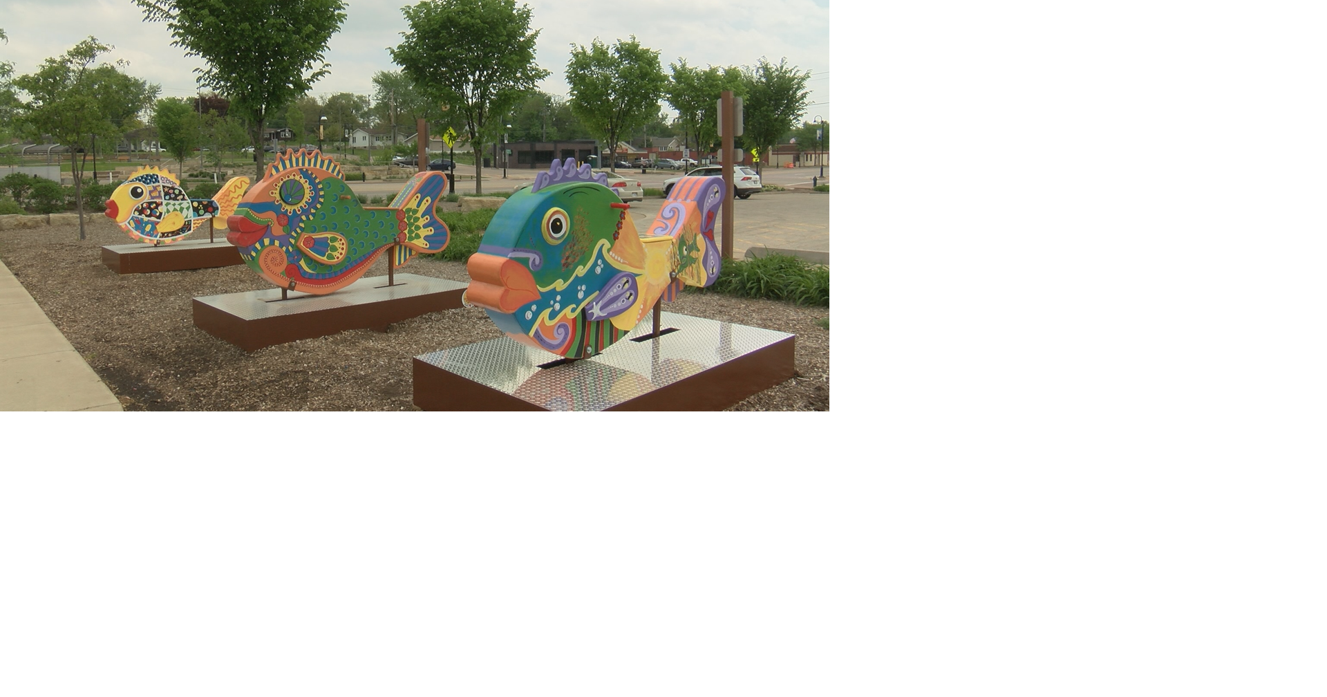 Rockin' Sunfish funny video contest | Coulee Region News | wxow.com