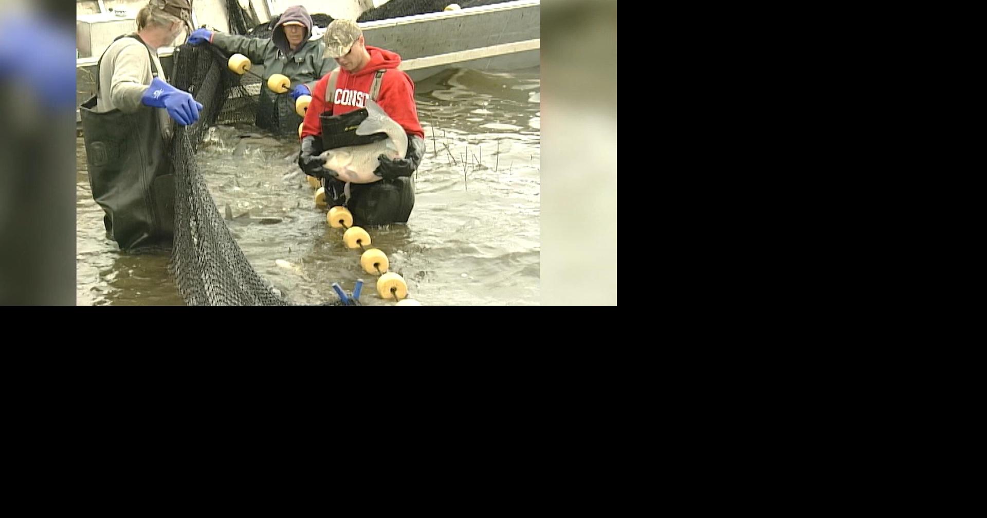 Upcoming project aims to remove local invasive carp | Outdoors | wxow.com