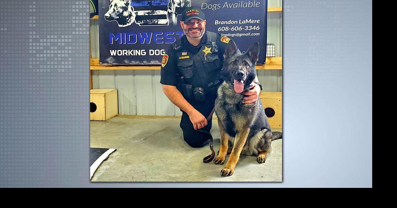 New patrol dog joins Vernon County Sheriff’s Office | Crime and Courts ...