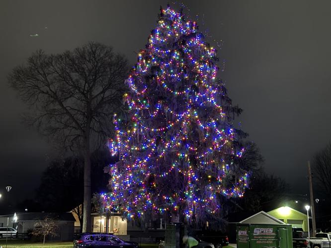 Holiday tree dazzles at Harry J. Olson Senior Center | La Crosse News ...