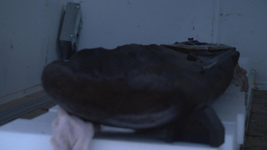 Archaeologists excavate ancient canoe from Lake Mendota | Wake Up ...