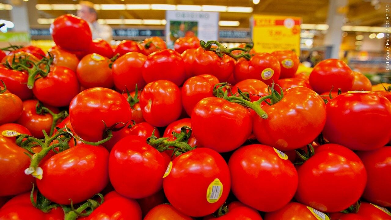 Tomatoes become latest symbol of America’s affordability squeeze ...