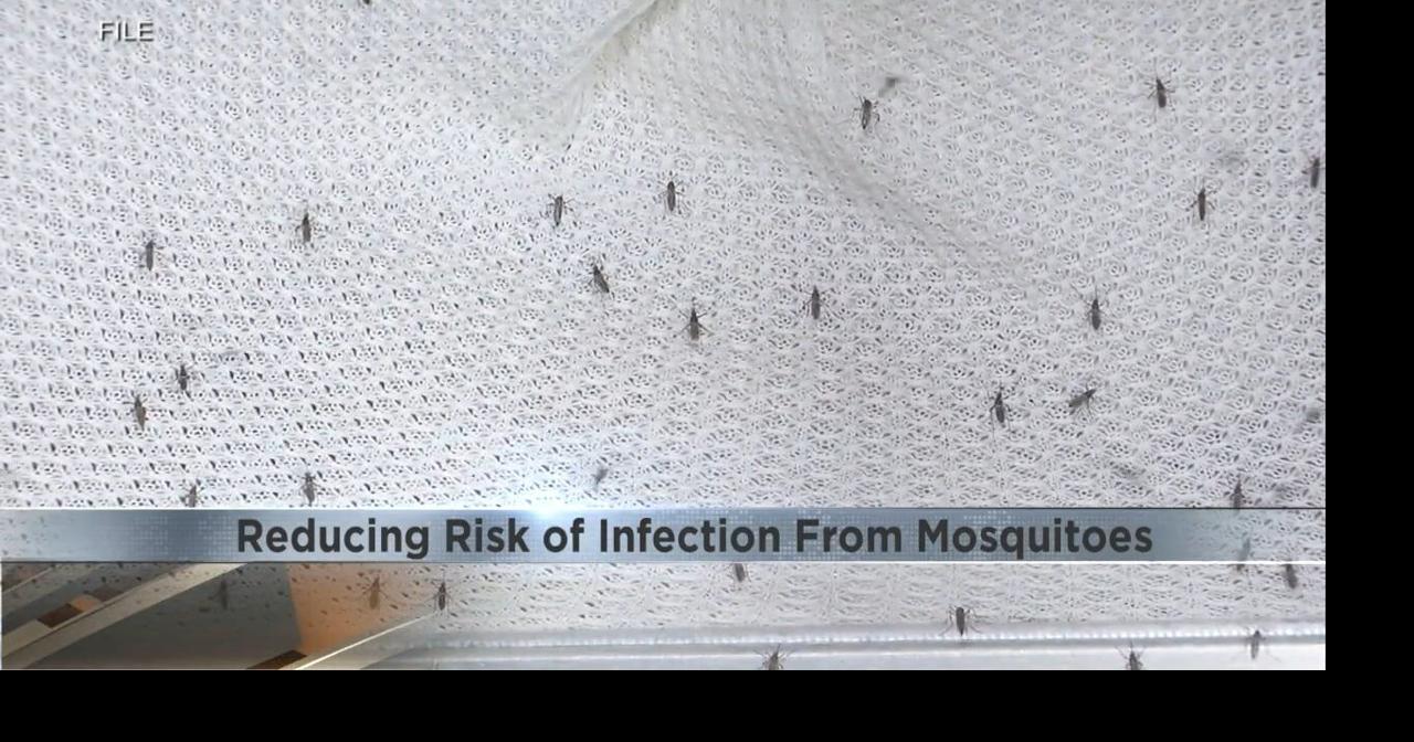How to reduce the risk of infection from mosquitoes | Video | wxow.com