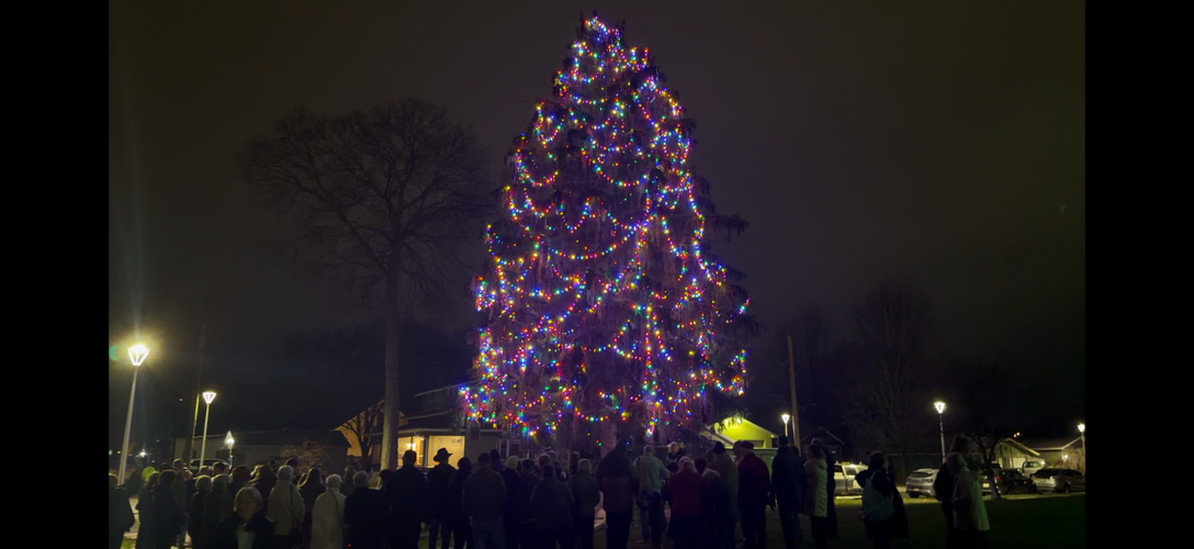 Holiday tree dazzles at Harry J. Olson Senior Center | La Crosse News ...
