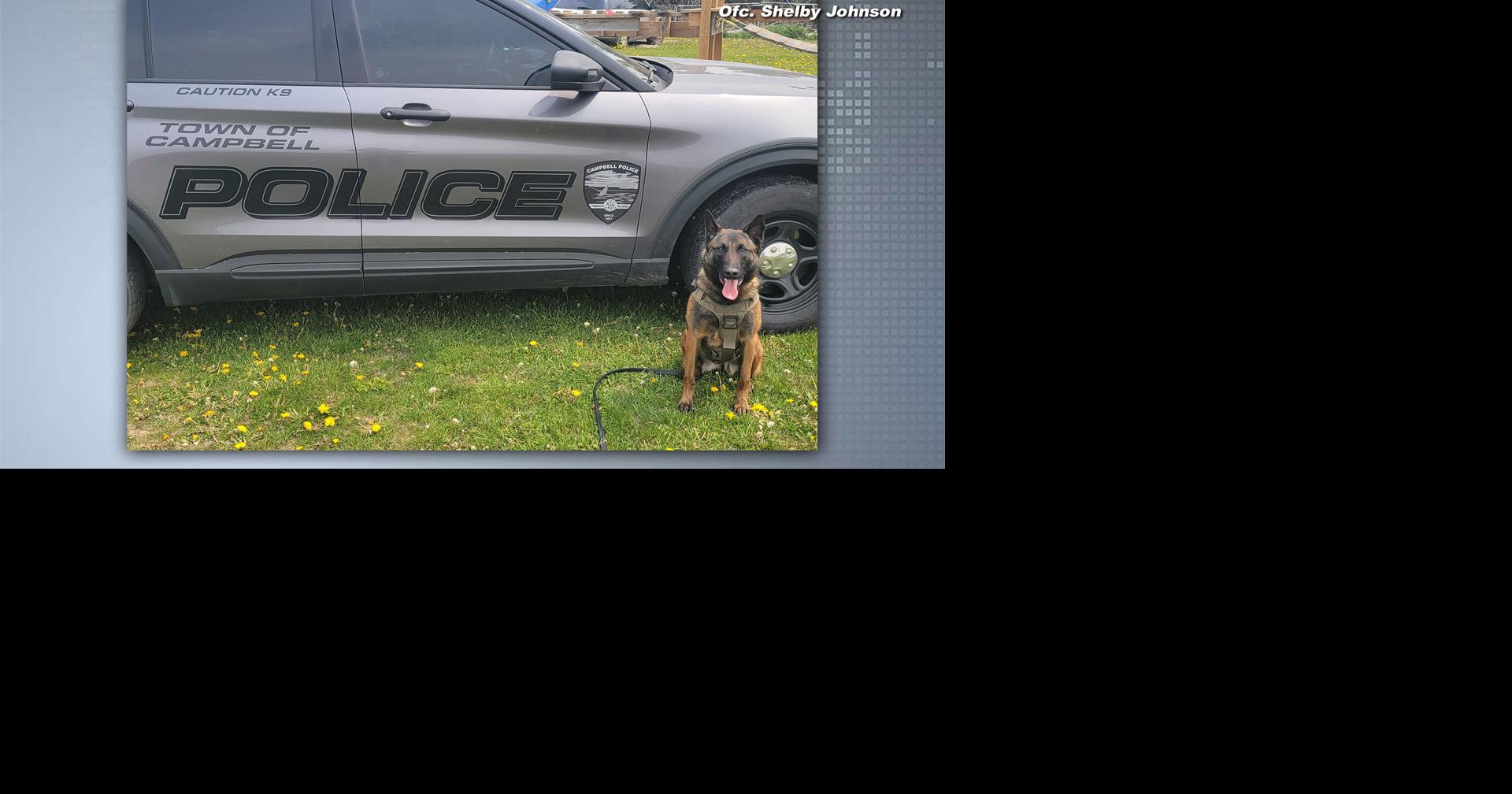 Town of Campbell Police welcome new K-9 officer | Crime and Courts ...