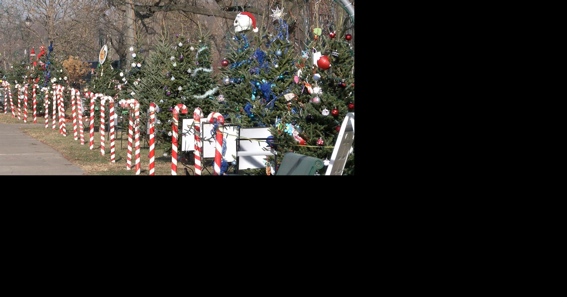 Rotary Lights ready to open on Friday | News | wxow.com