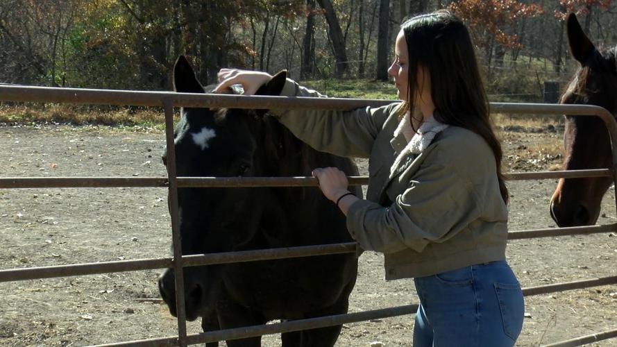 American Standardbred Adoption Program hosts 2nd Annual Chili Cook-Off ...