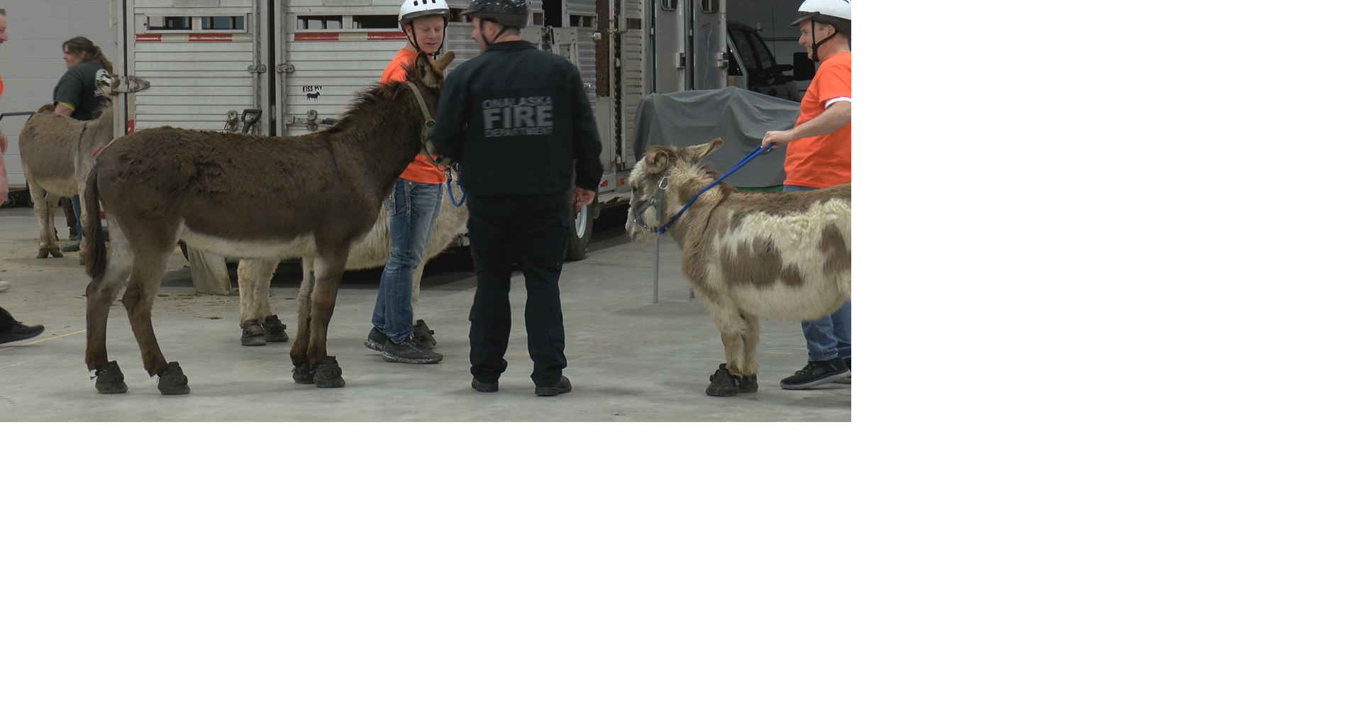 Omni Center hosts donkey basketball game fundraiser | News | wxow.com