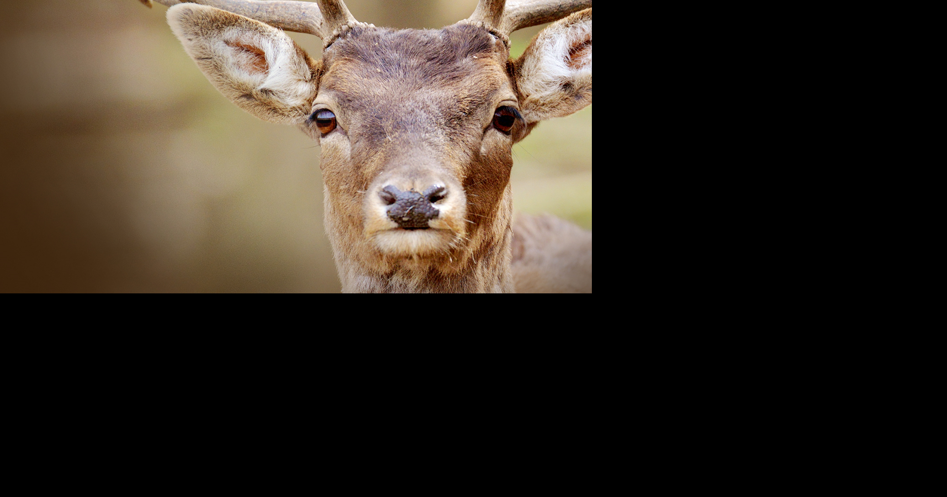 Chronic Wasting Disease confirmed in a Wisconsin deer farm | Wisconsin ...