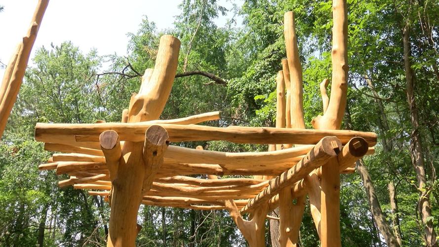 Universally accessible treehouse project underway in Chad Erickson ...