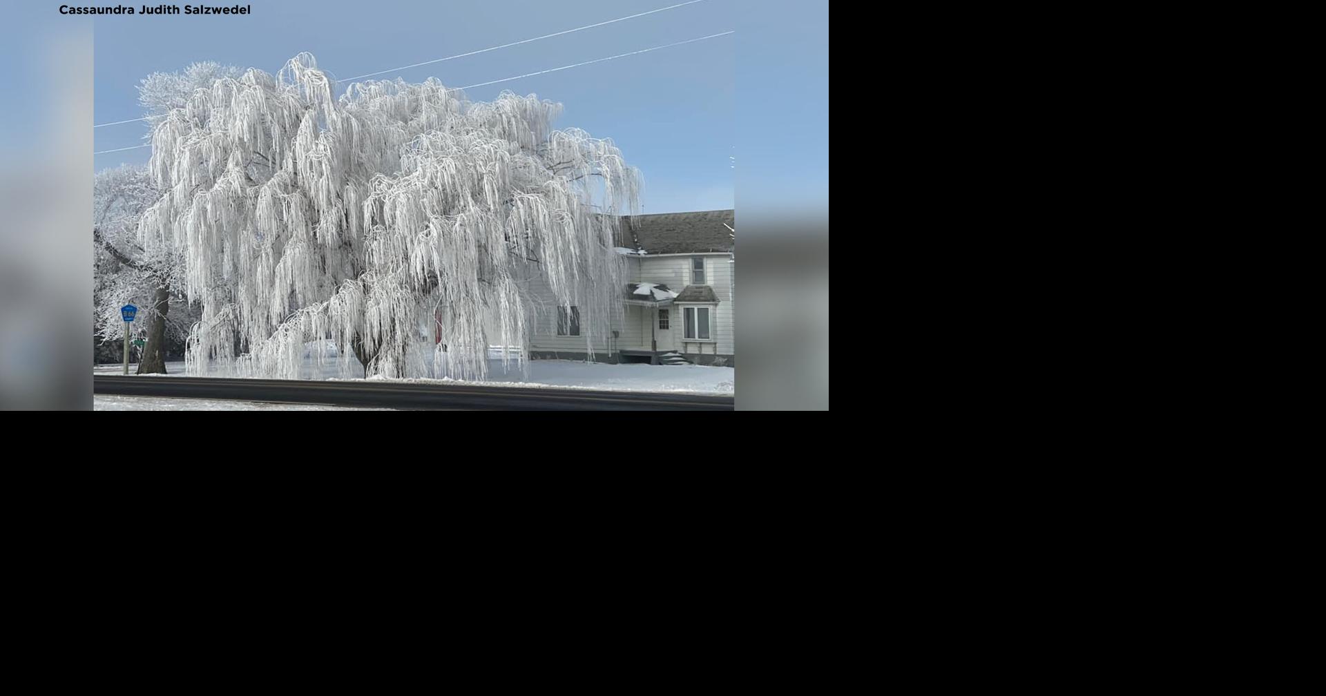 Rime Ice vs. Hoarfrost | News | wxow.com
