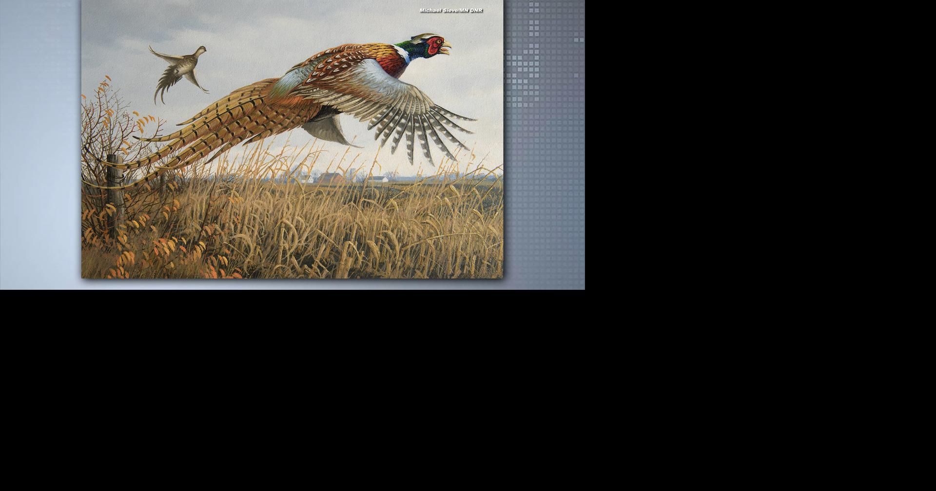 SE Minnesota artists win MN DNR pheasant and turkey stamp contests ...