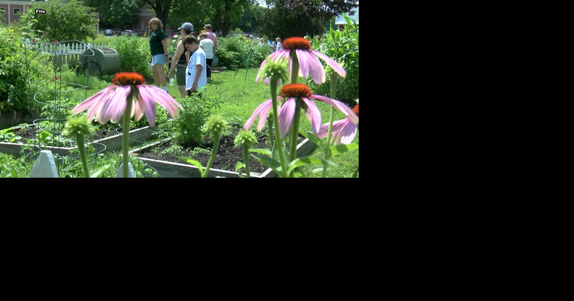 Safety reminders ahead of summer vacation | News | wxow.com