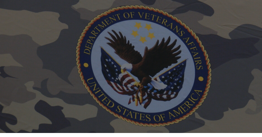 Department Of Veterans Affairs Png