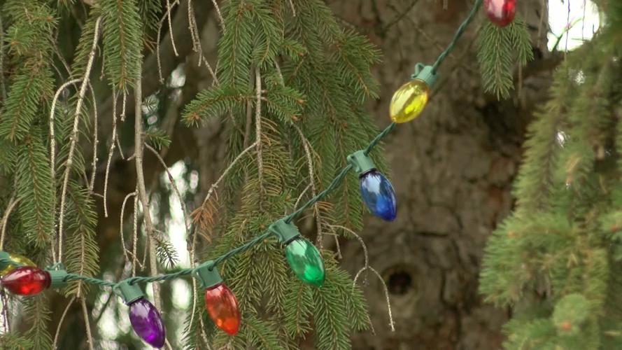 Harry J Olson Senior Center lights up the north side | La Crosse News ...