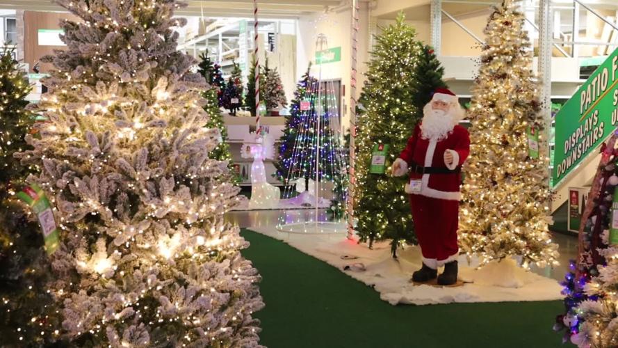 enchanted forest display