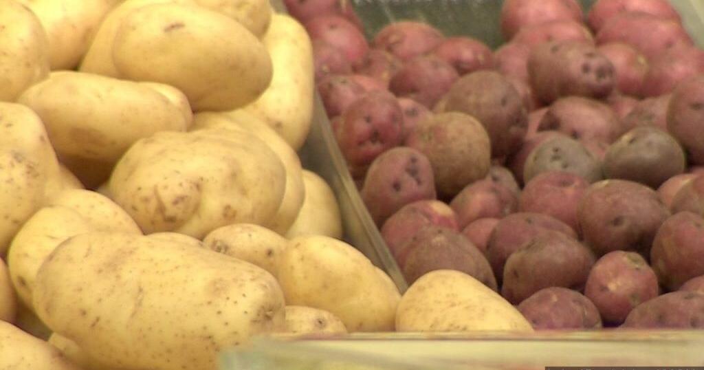 Alice in Dairyland joins Daybreak to talk Wisconsin potatoes | Wake Up ...