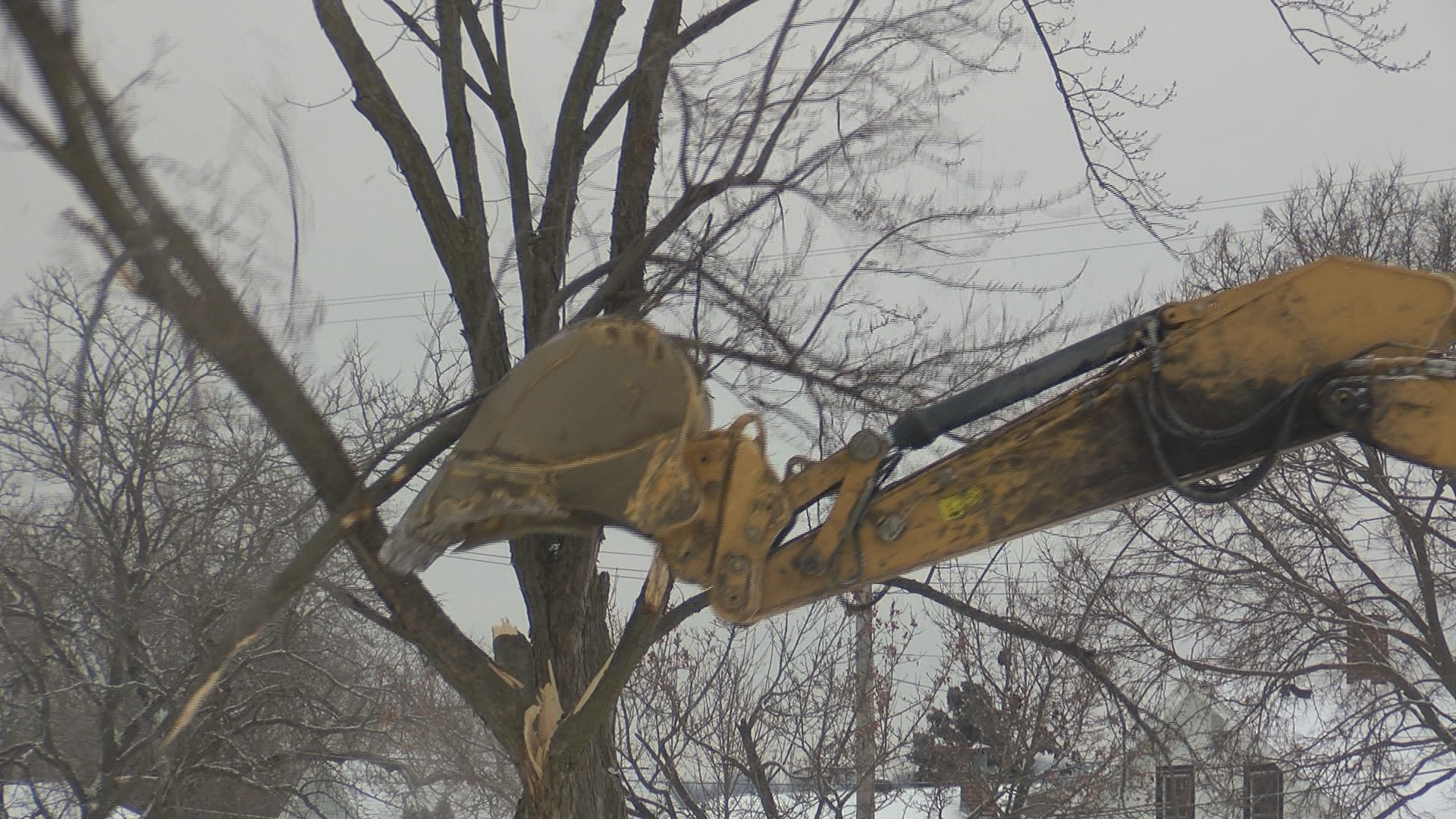 Still0121_00003.png | | wxow.com