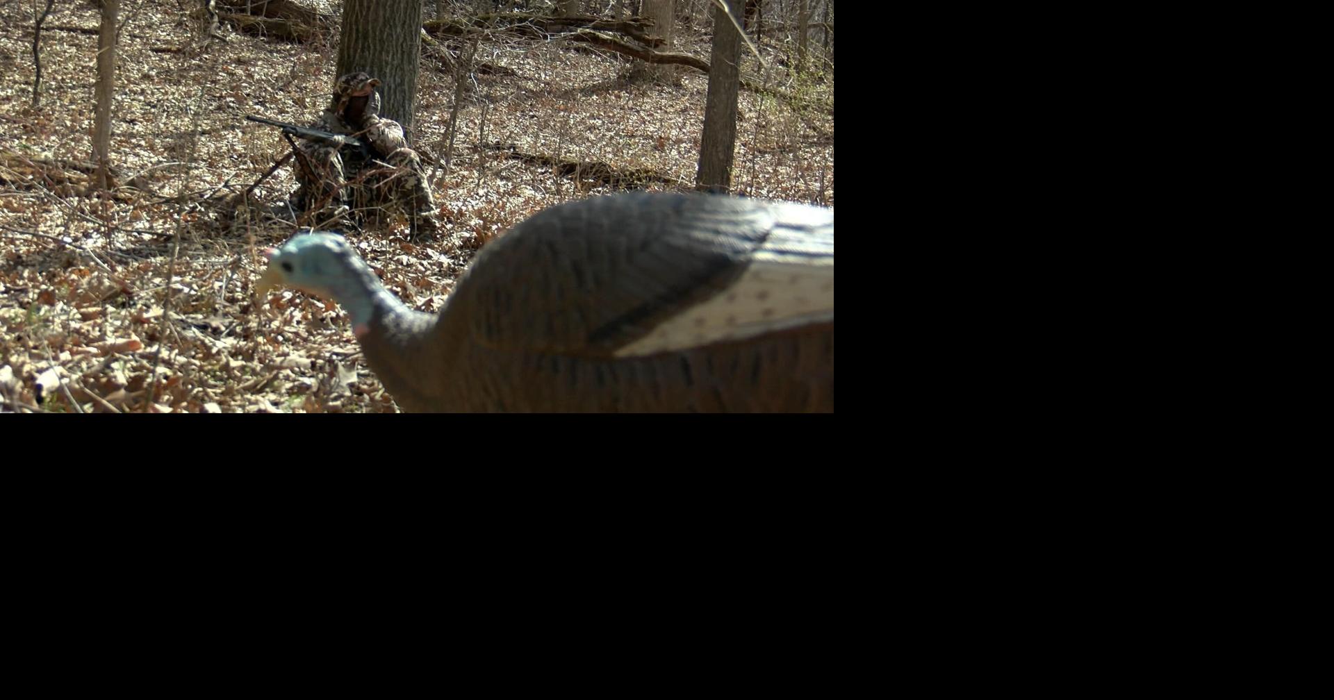 Spring Turkey Hunt underway in Wisconsin | News | wxow.com