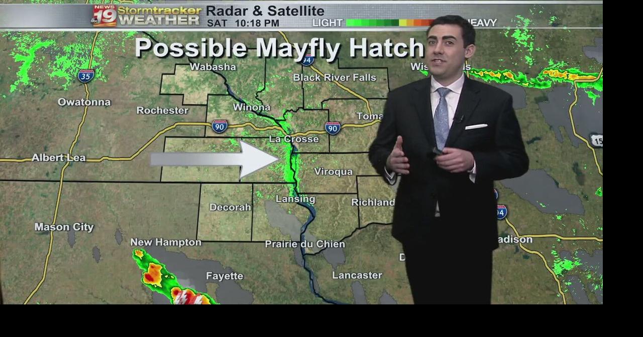 Possible MayFly hatch showing up on radar | Video | wxow.com