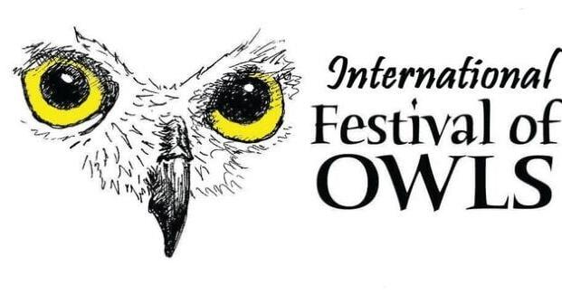 International Festival of Owls begins Friday | News | wxow.com