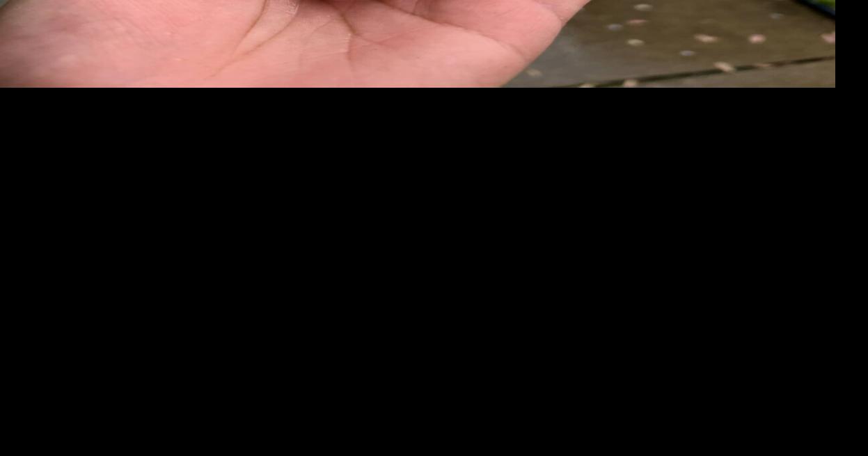 WXOW area receives a little hail over Thursday afternoon | Coulee ...