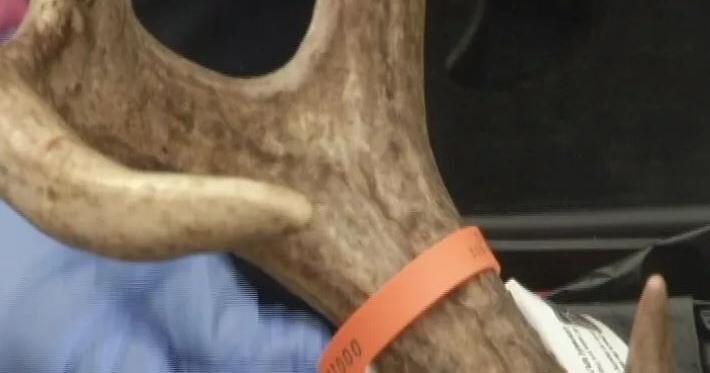 DATCP: Vernon County deer farm 'depopulated' after CWD found | News ...
