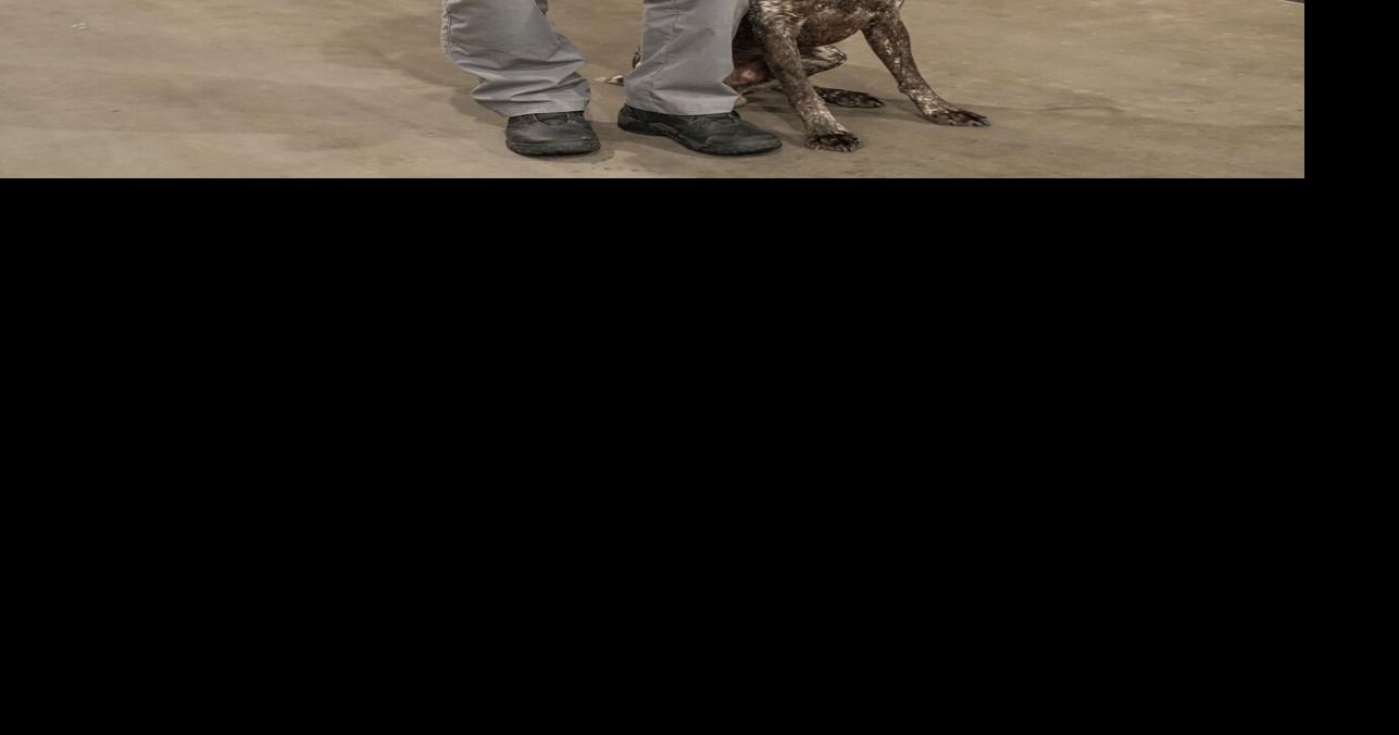 OZ Lifting continues K9 police dog program | Coulee Region News | wxow.com