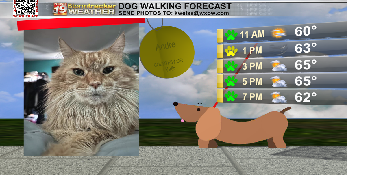 Mild conditions today before rainfall and possible thunderstorms for ...