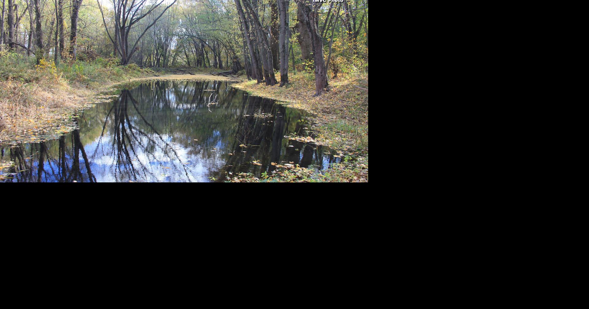 Historic piece of Barron Island now part of Mississippi Valley ...