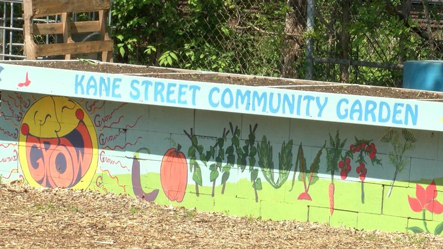 Kane Street Community Garden growing a variety of produce for those in ...