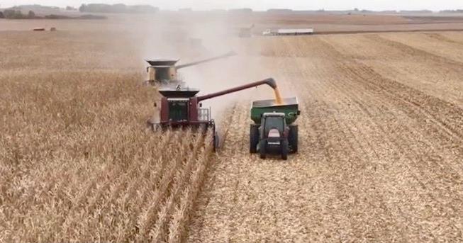 Iowans helping Iowans: Community comes together to harvest crops after ...
