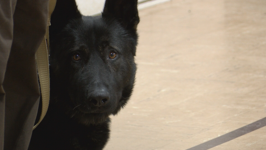 Fostering a positive police-student relationship | News | wxow.com