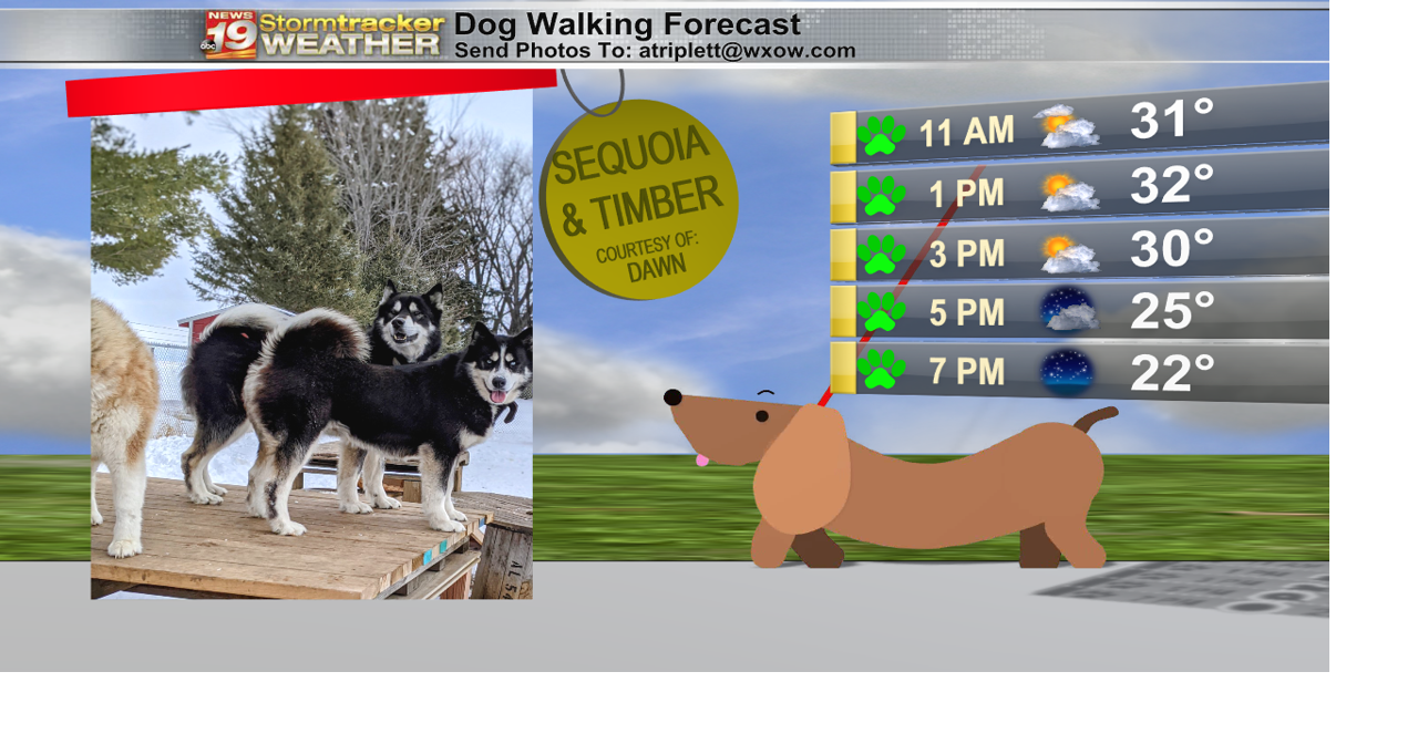 Ups and downs through the holiday week | 19 Storm Track Weather | wxow.com