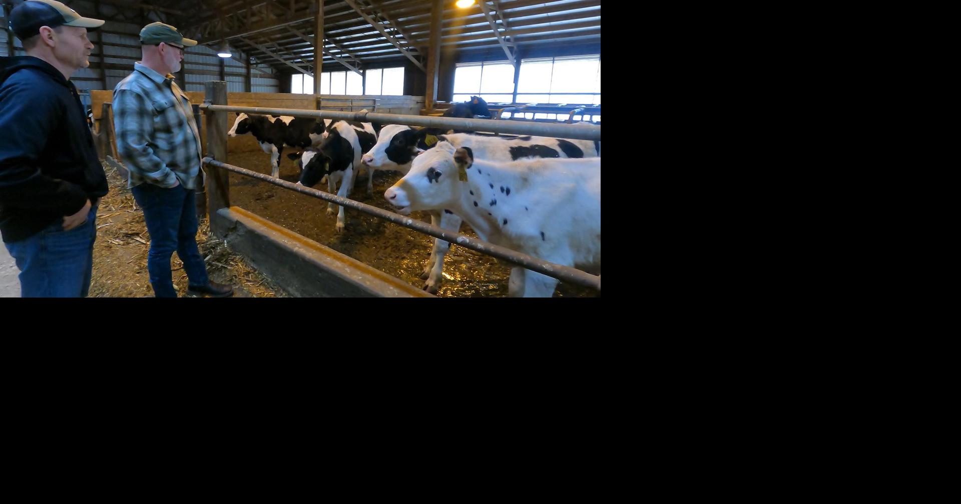 Rep. Van Orden introduces Dairy Business Innovation Act, talks 2023 ...