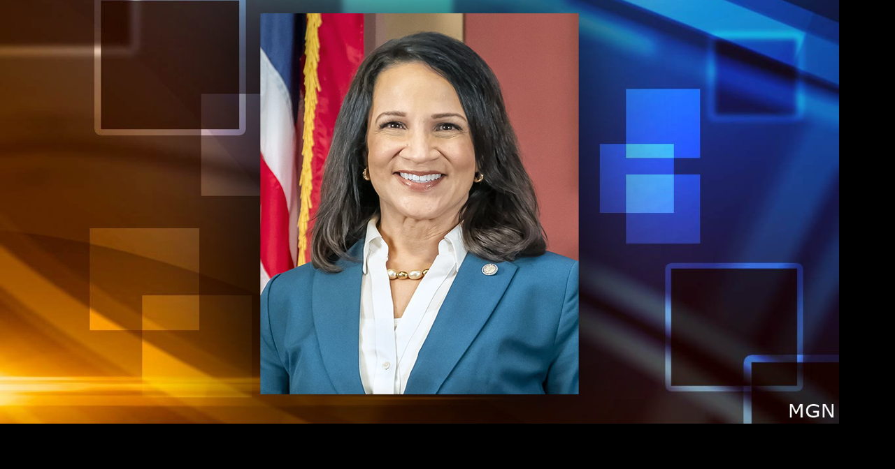 House Speaker Lisa Demuth announces campaign for MN governor ...