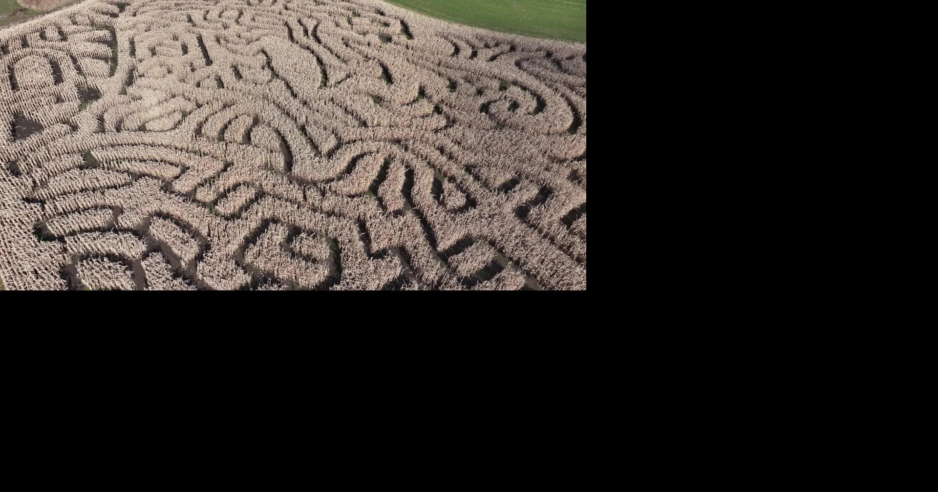 Saturday is the last day of fall fun at Hidden Trail Corn Maze | News ...