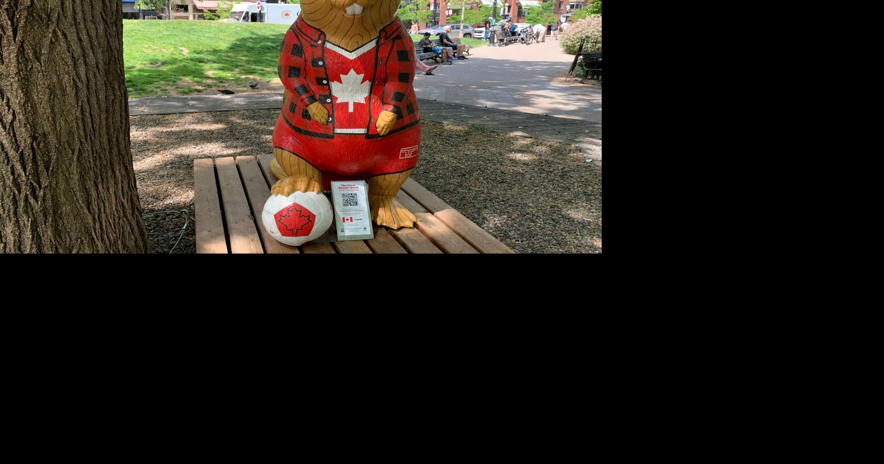 Join the beaver hunt: Toronto neighborhood offers unique World Cup ...