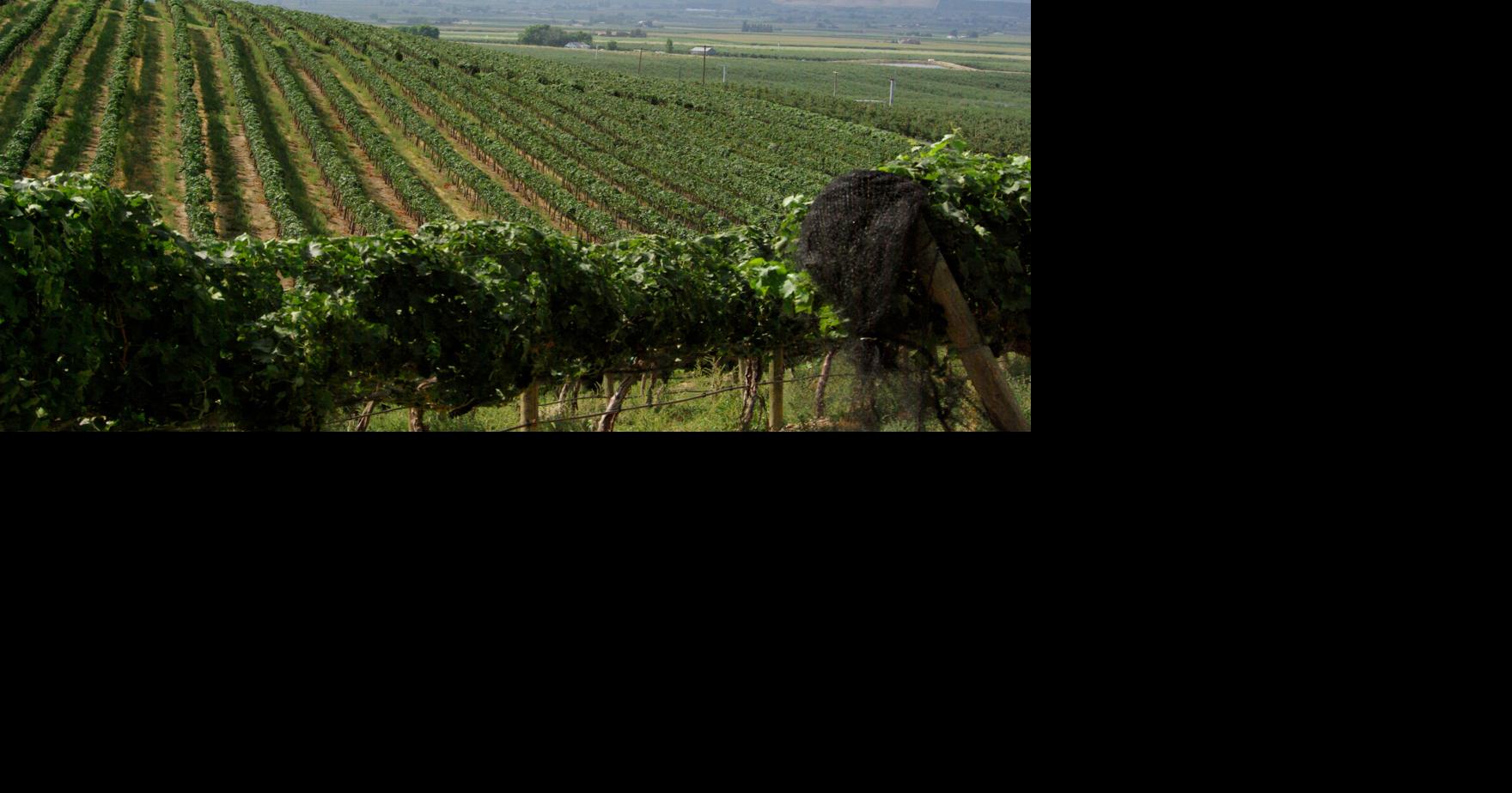 Central Washington State Fair to showcase wines from Central Washington ...