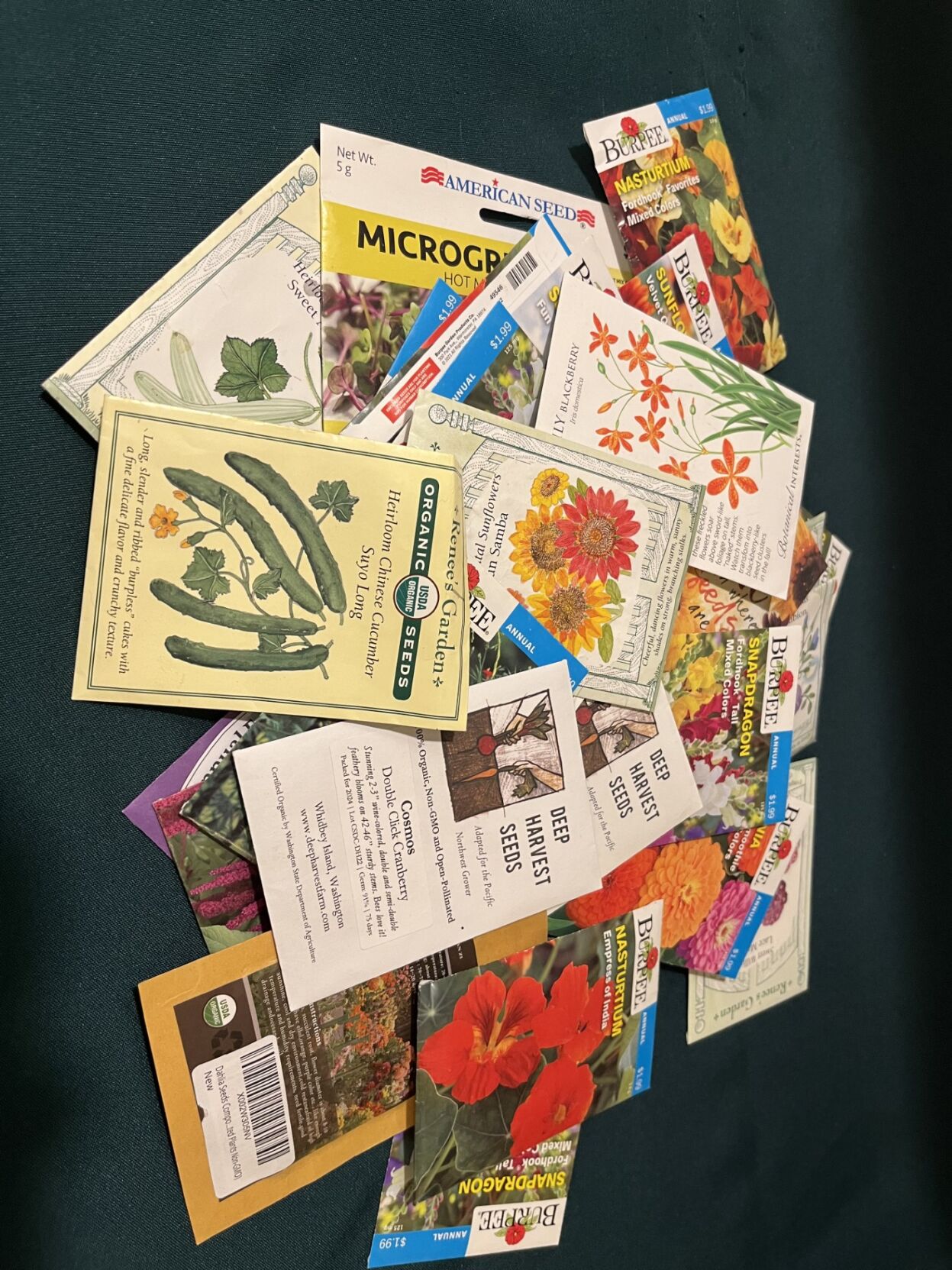 Master Gardeners: Decoding confusing seed terms | Home And Garden ...