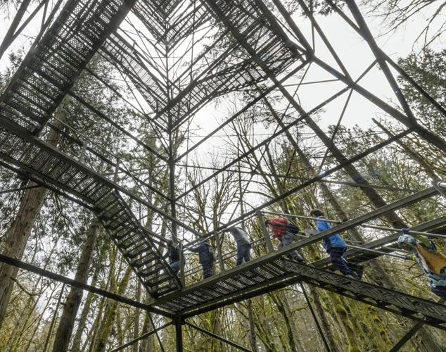 WA House bill would expand outdoor education statewide | Northwest ...