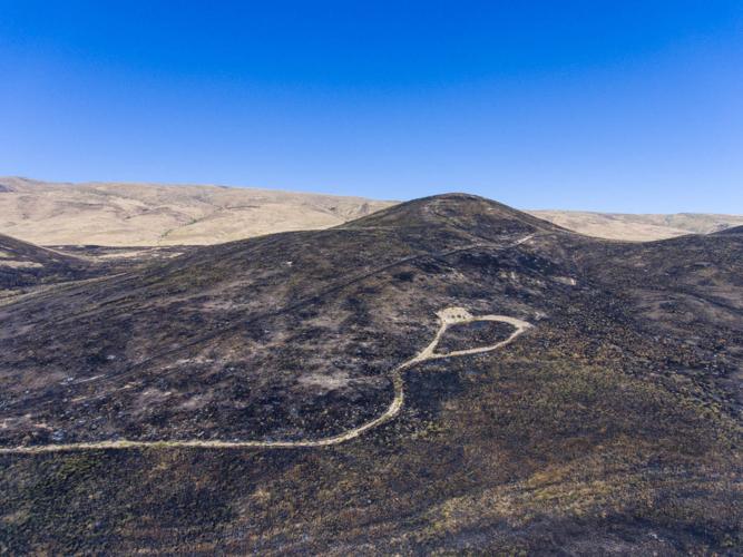 Aerial photos: North Wenas fire | News Photos | yakimaherald.com