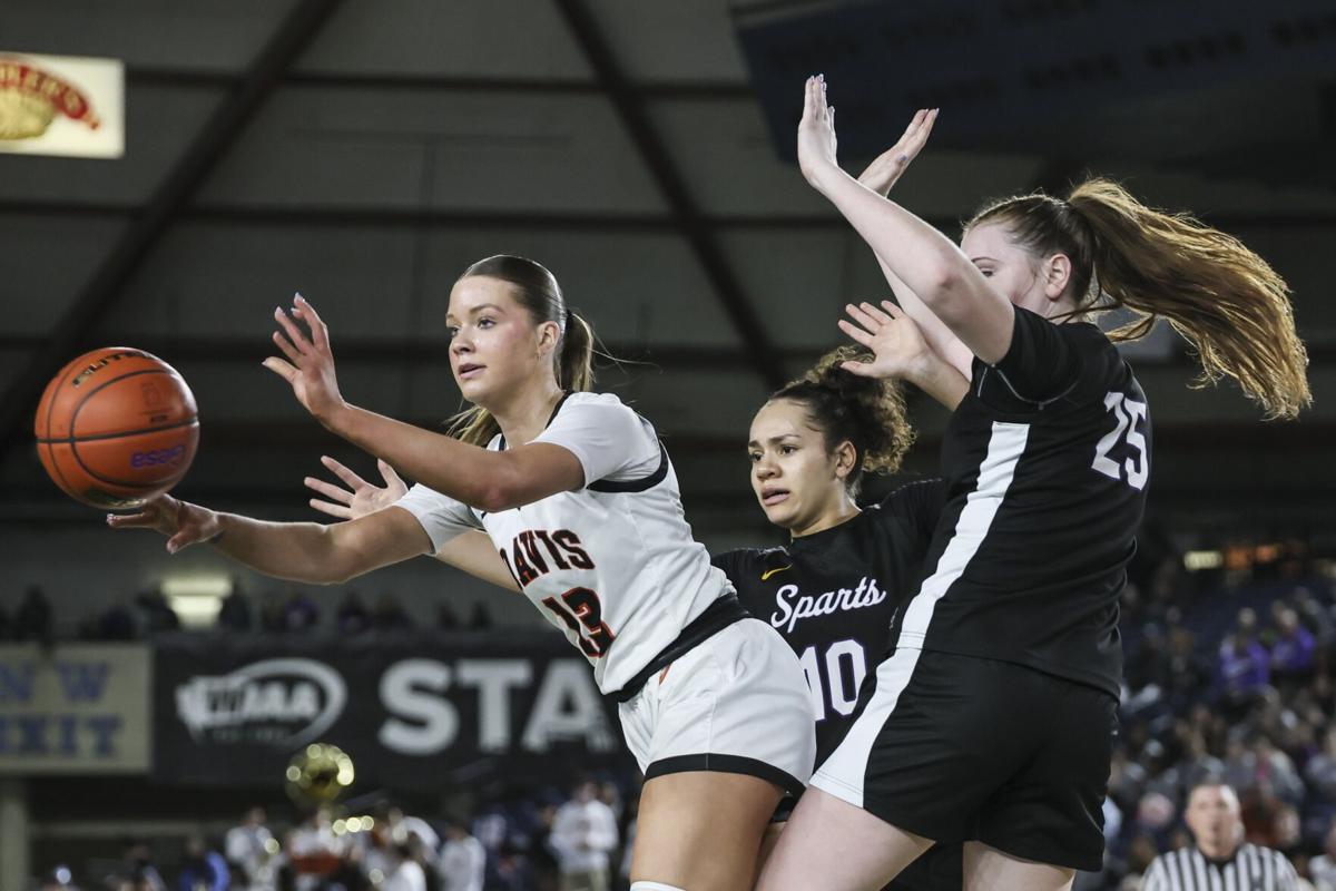 Davis girls get revenge on Sumner for first state basketball ...